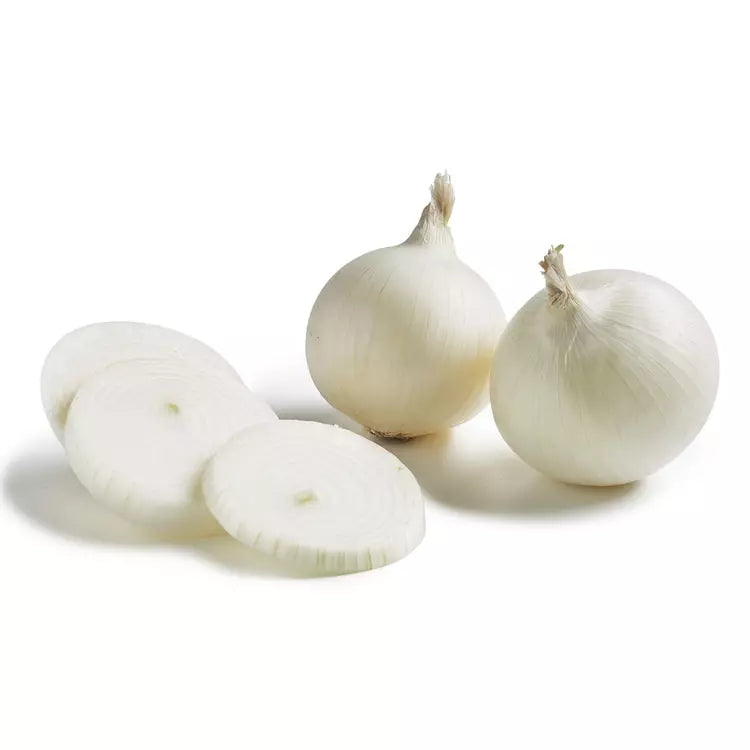 Oignons blanc en vrac - onion – FleurExcel Inc.