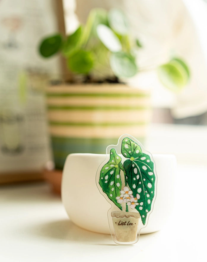 Aimant - double face de plantes tropicales | Bégonia à pois - ZOETSTUD ...