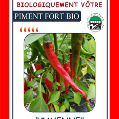 Sachet de semences - Piment Fort Cayenne rouge BIO - Biologiquement Vô ...