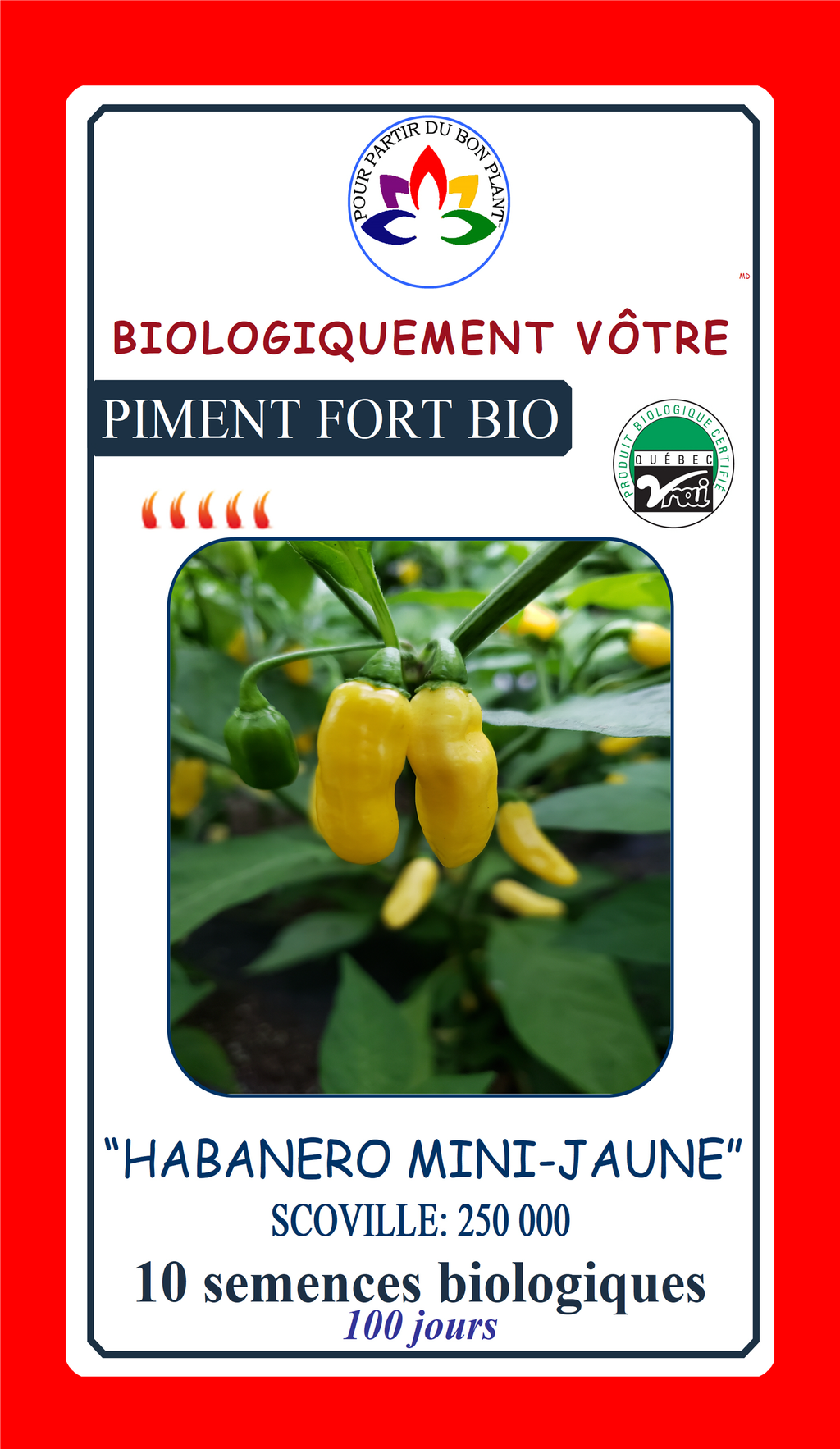 Sachet de semences - Piment fort Habanero mini jaune BIO - Biologiquem ...