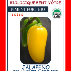 Sachet de semences - Piment fort Jalapeno jaune BIO - Biologiquement V ...